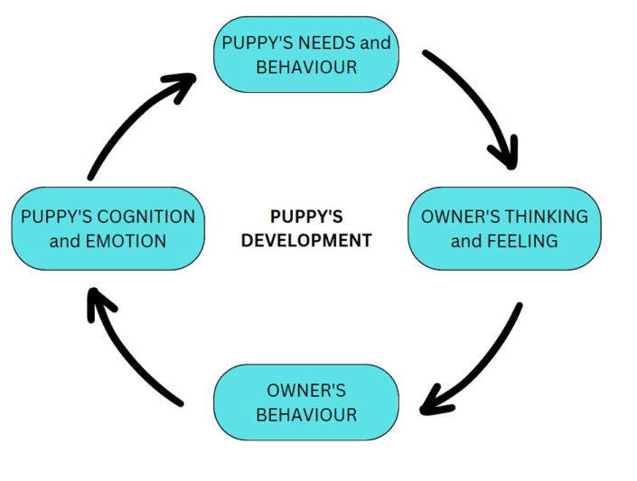 SECURE BASE MODEL ADAPTED FOR PUPPIES – LITTLE TYKES DOG HUB